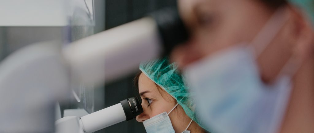 Our Company | BioTissue