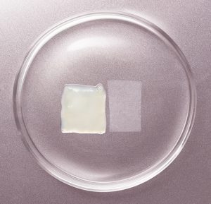 Clarix 1K Amniotic Allograft, Surgical Orthopedic| BioTissue