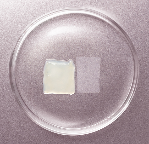 Clarix 1K Amniotic Allograft, Surgical Orthopedic| BioTissue