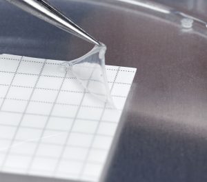 Clarix 100 Amniotic Graft for Podiatric Surgery | BioTissue