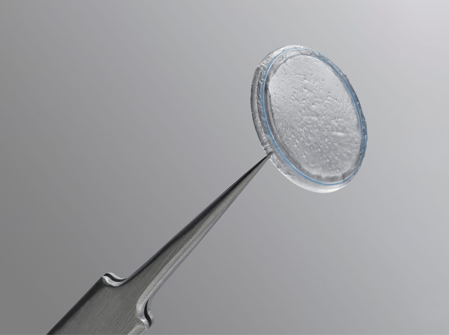 Prokera® Biologic Corneal Bandage | BioTissue