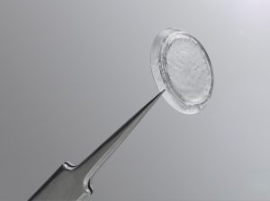 Prokera® Biologic Corneal Bandage | BioTissue