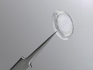 Prokera® Biologic Corneal Bandage | BioTissue