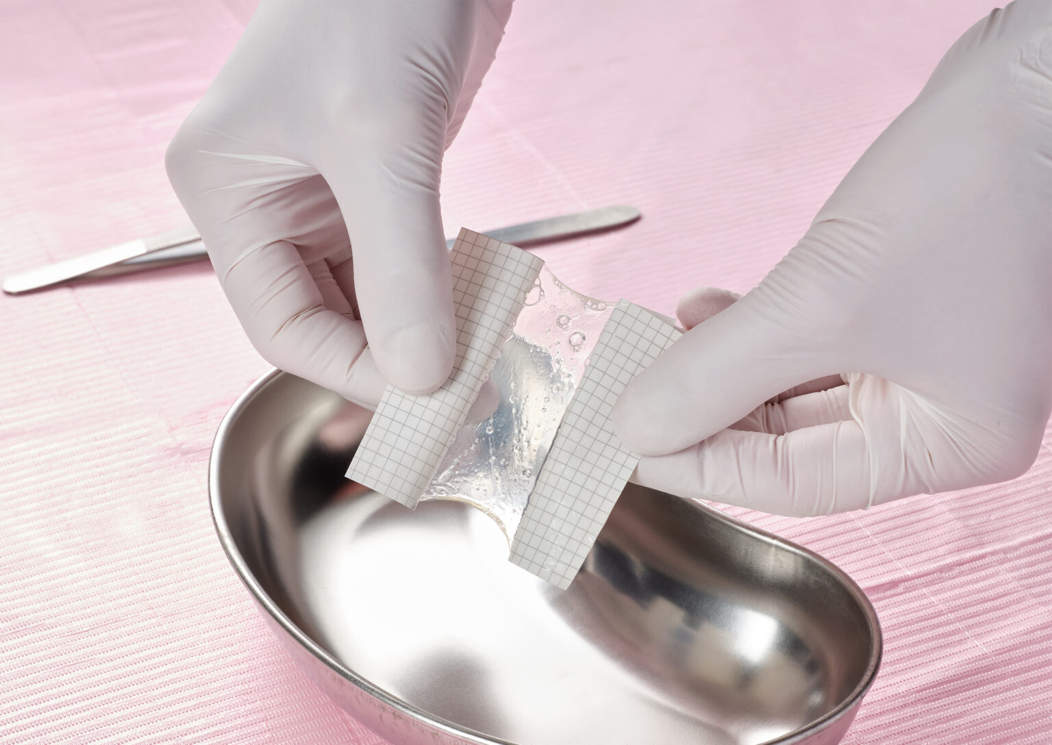 AmnioGraft® Amniotic Membrane Surgical Eye Graft | BioTissue